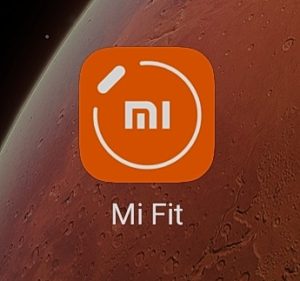 MiFit アプリの使い方 あなたのパーソナルトレーナー MiFitとは | Smile Network（スマイルネットワーク）